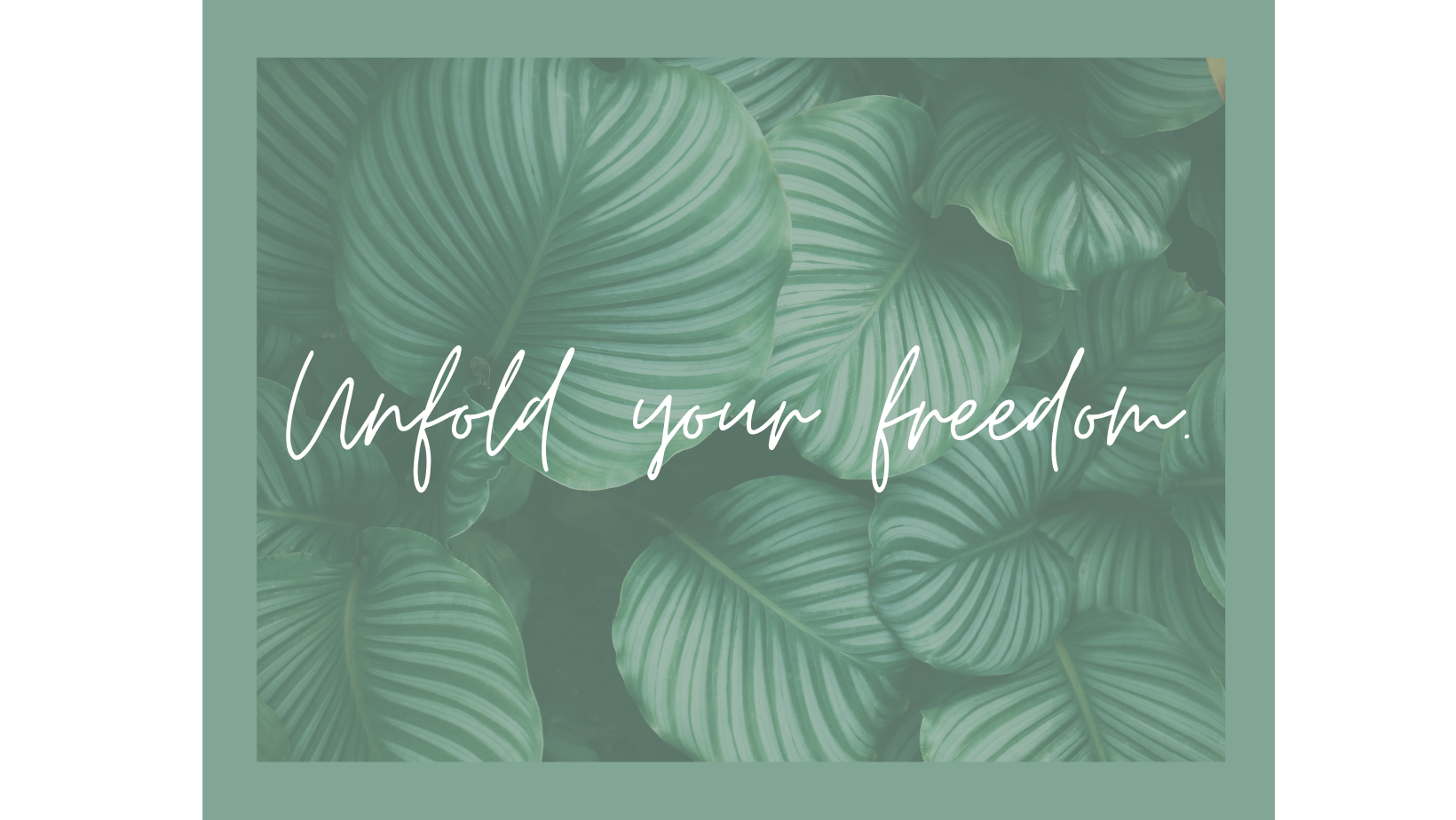 Get Started Now | Unfold your Freedom